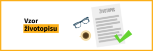 Vzor životopisu | Kariéra v kocke | PROFESIA.SK